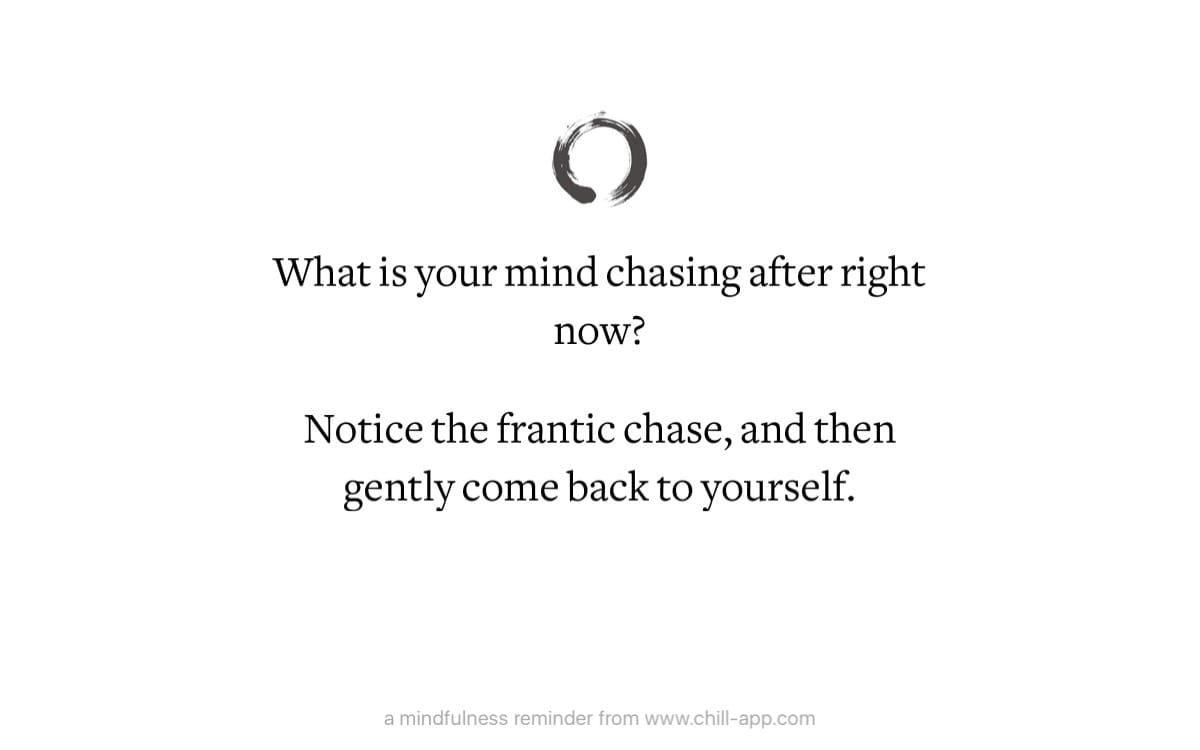 What is your mind chasing after right now?